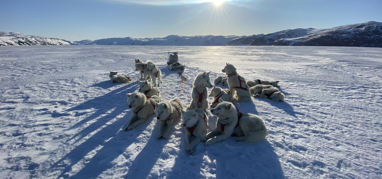 Explore Culture and Traditions | Immersive Learning Adventures | Wonder ...
