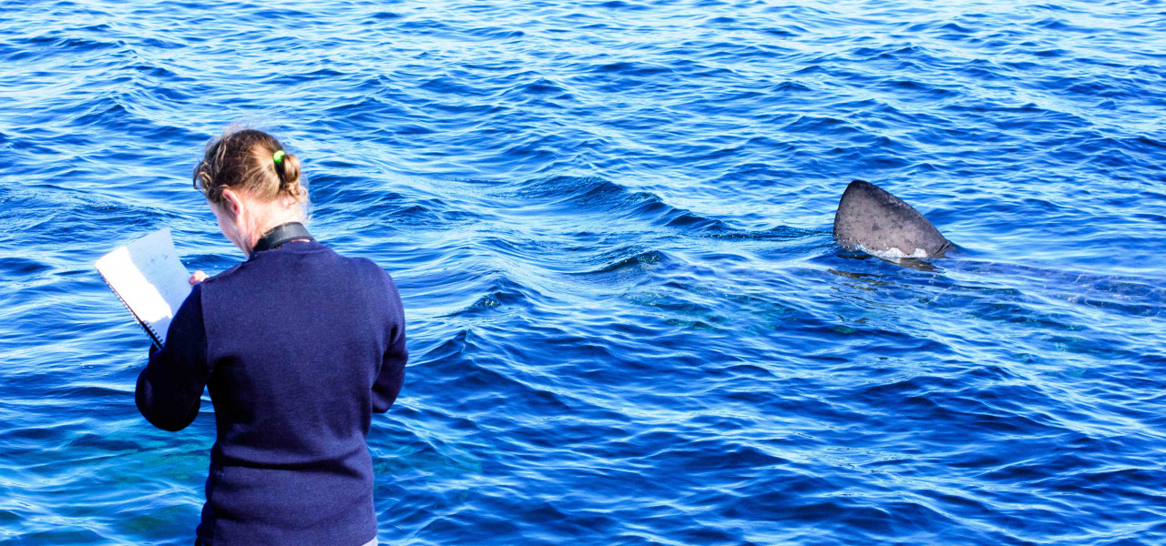 Scientific Tourism Adventures in Scotland | Explore. Discover. Learn ...