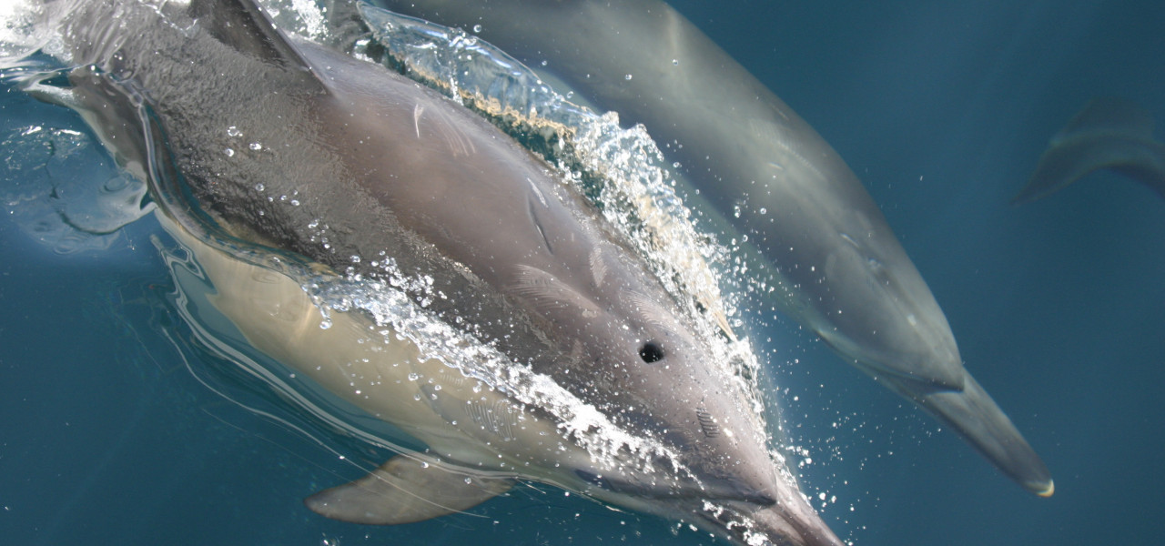 Scientific Tourism Adventures in Scotland | Explore. Discover. Learn ...
