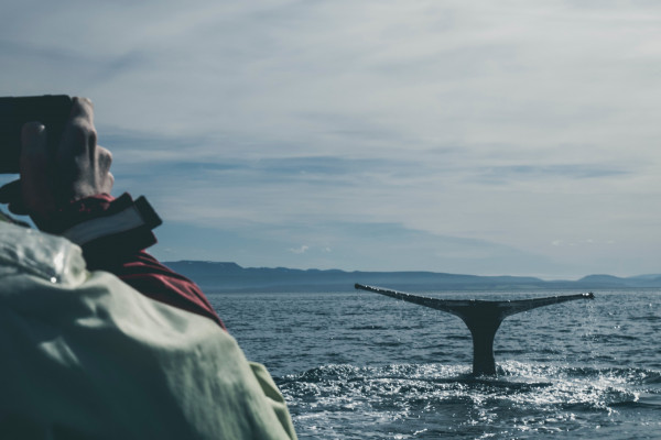 Explore Travel Adventures in Scientific Tourism | Wonder Seekers